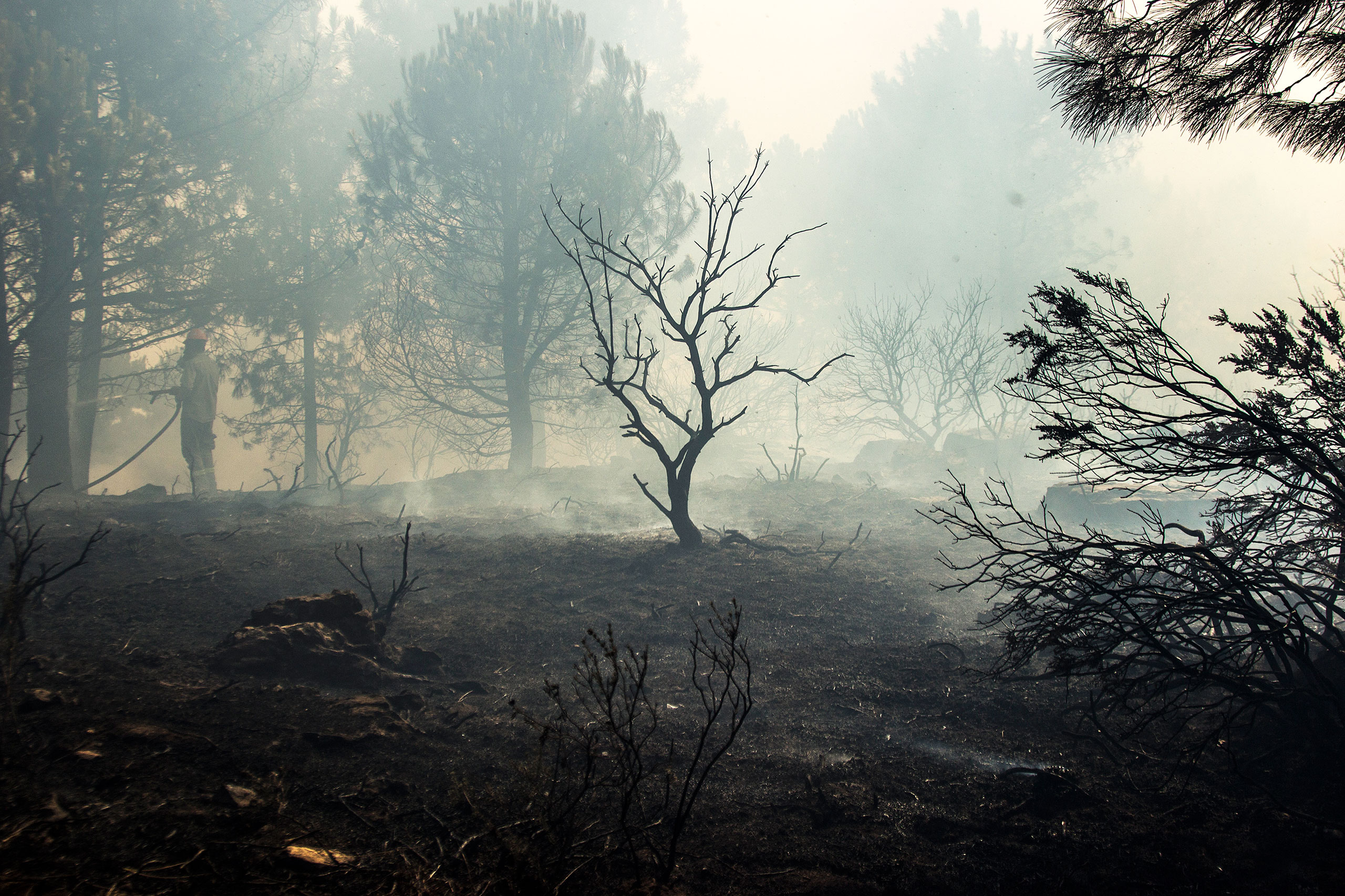 After the Smoke Clears: Implementing a Post-Wildfire HydroMet ...